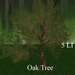 Second Life Marketplace - dp oak tree